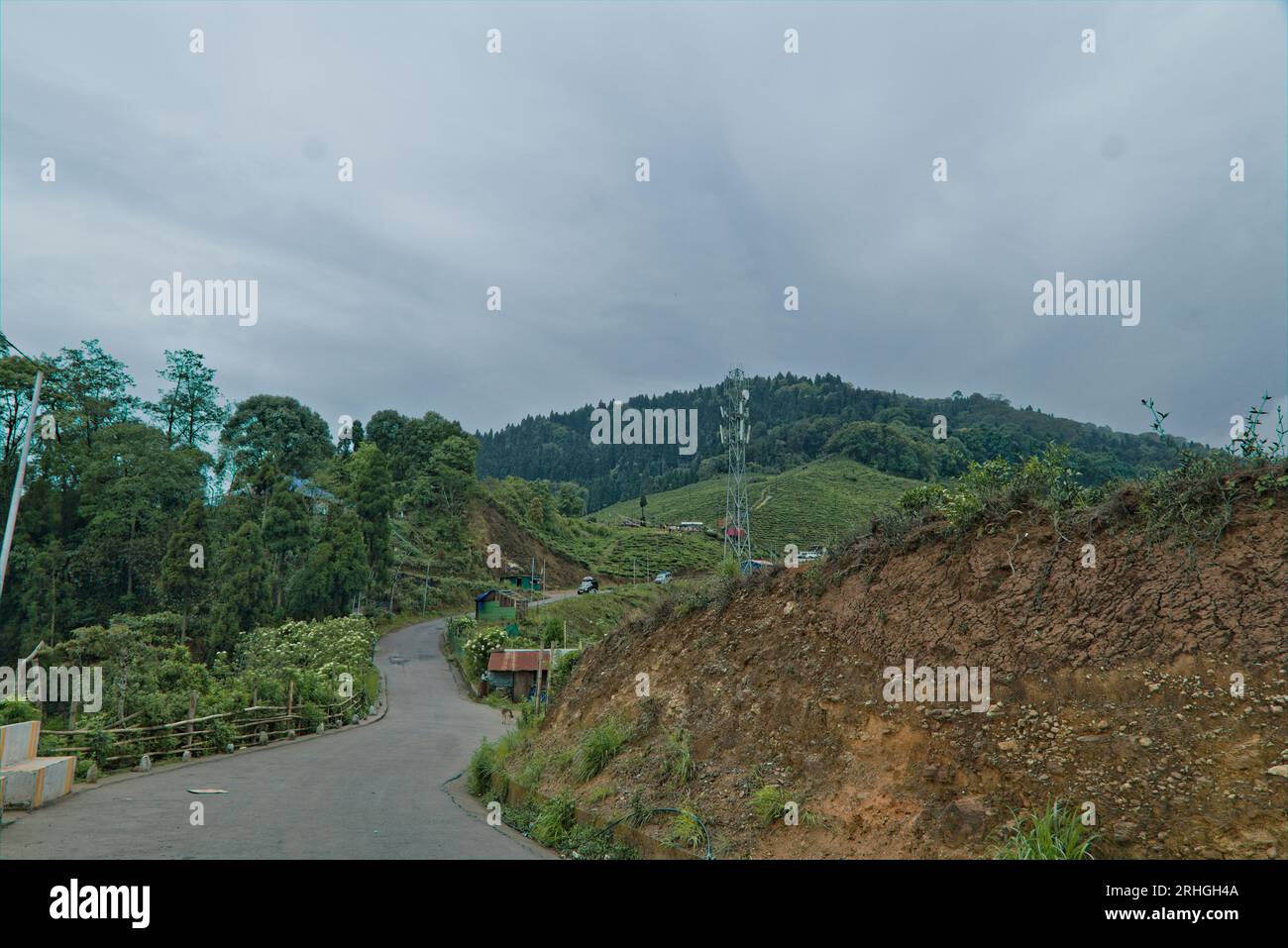 tea garden view in kalimpong town Stock Photo - Alamy tea garden view in kalimpong town Stock Photo - Alamy
