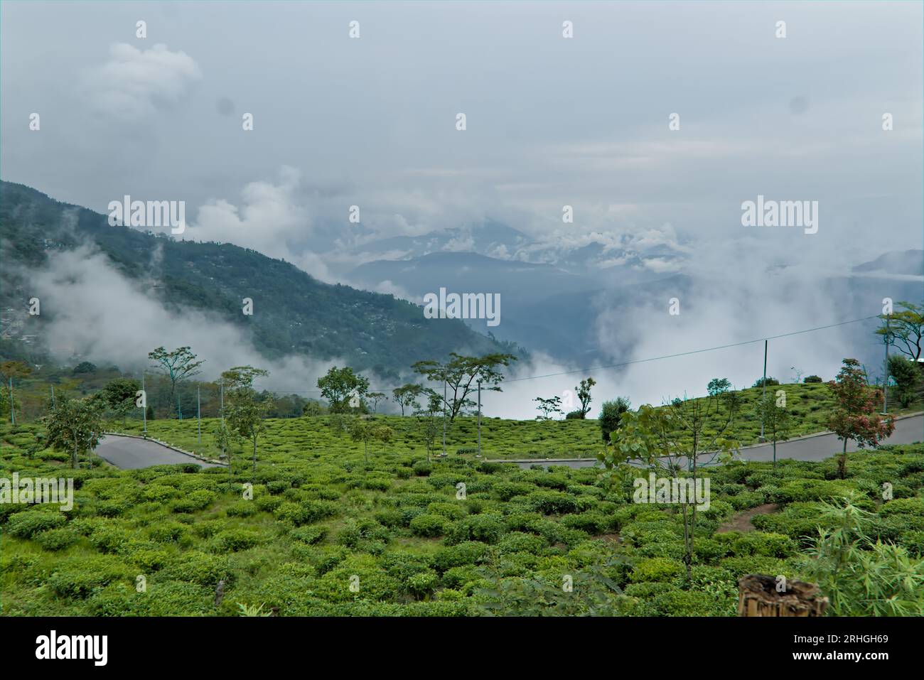 tea garden view in kalimpong town Stock Photo - Alamy tea garden view in kalimpong town Stock Photo - Alamy