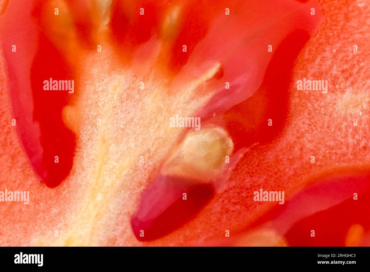 Juicy red tomato slice flesh seeds and textures. Close-up on the inner ...