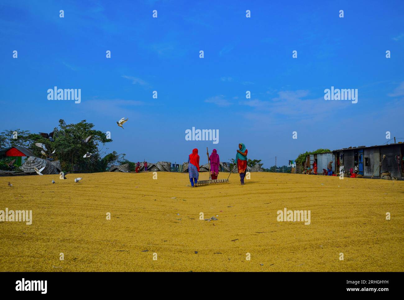 Chatal kanya hi-res stock photography and images - Alamy