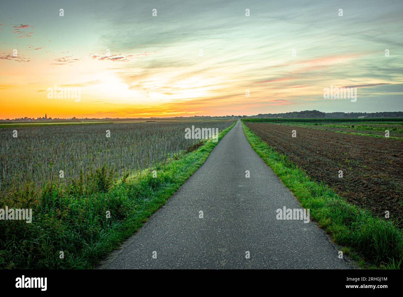 sunset, field, summer, wide angel Stock Photo - Alamy