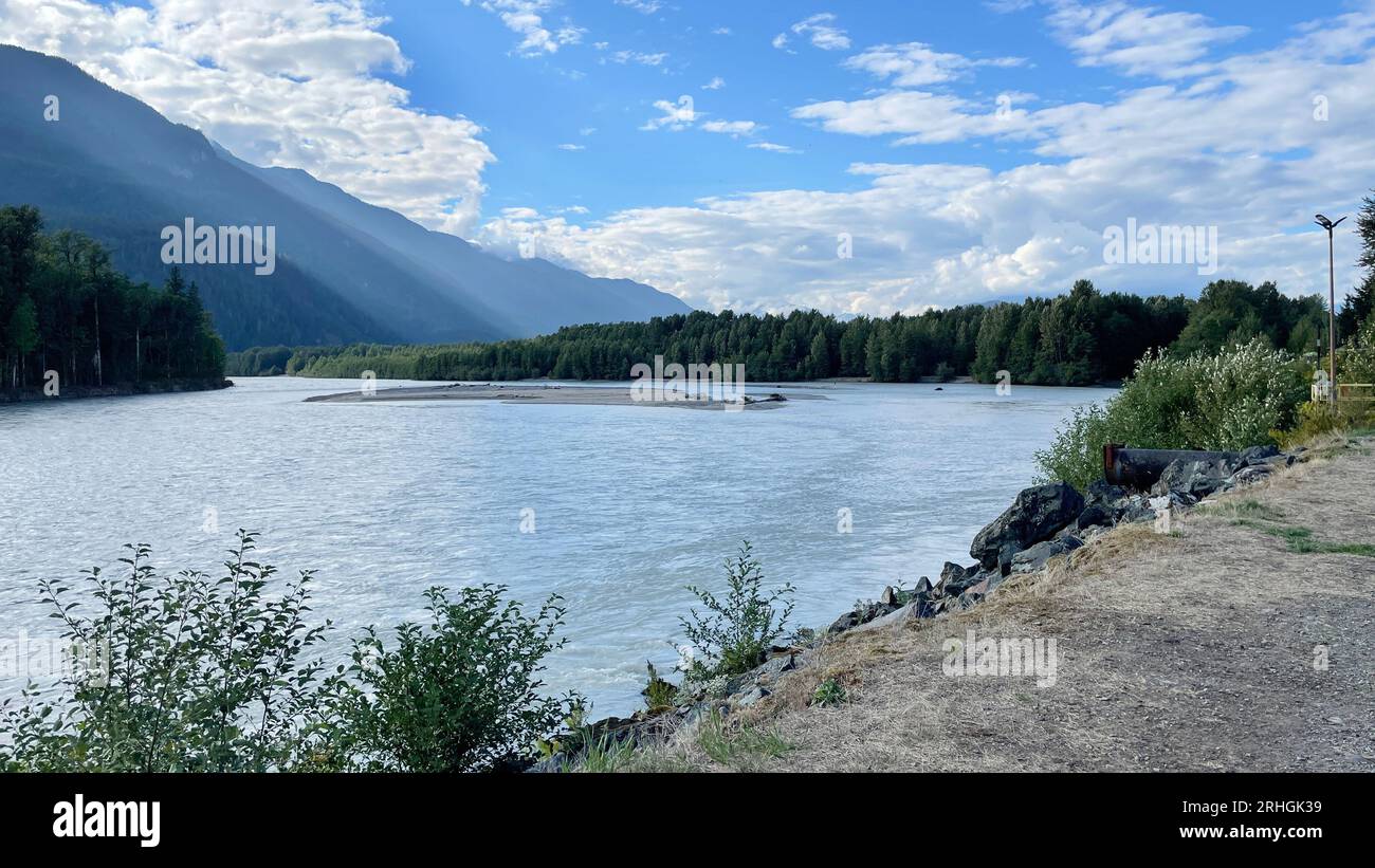 Brackendale eagle run hi-res stock photography and images - Alamy