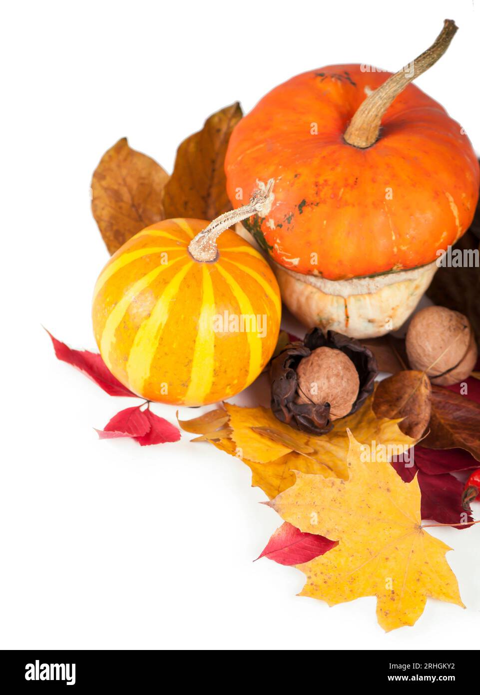 group of pumpkins of different shapes and sizes surrounded by leaves on ...