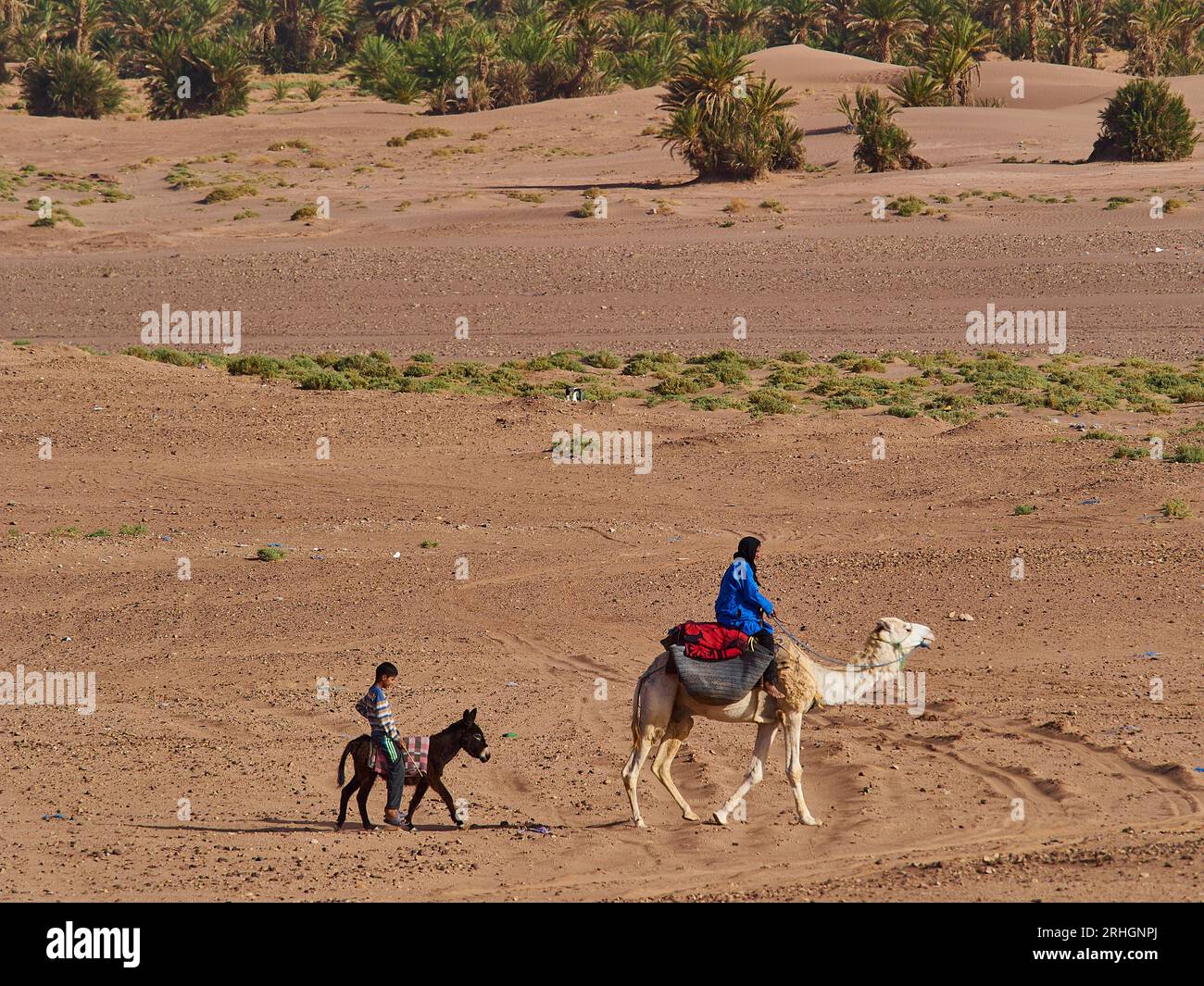 unrecognizable people riding a camel and a donkey through the desert of ...