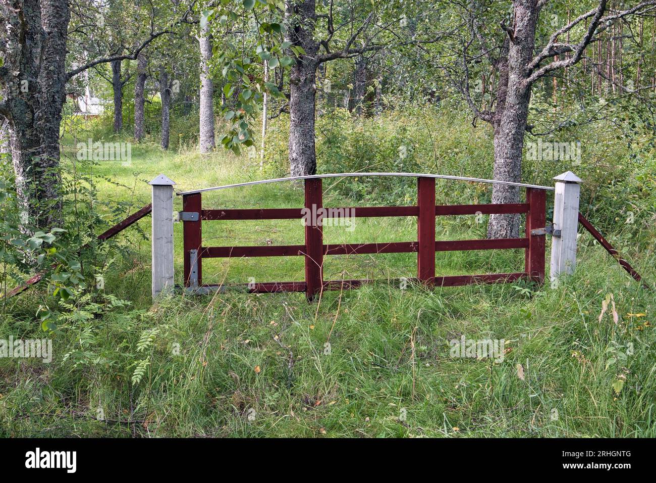 Closed gate in the forest Stock Photo - Alamy