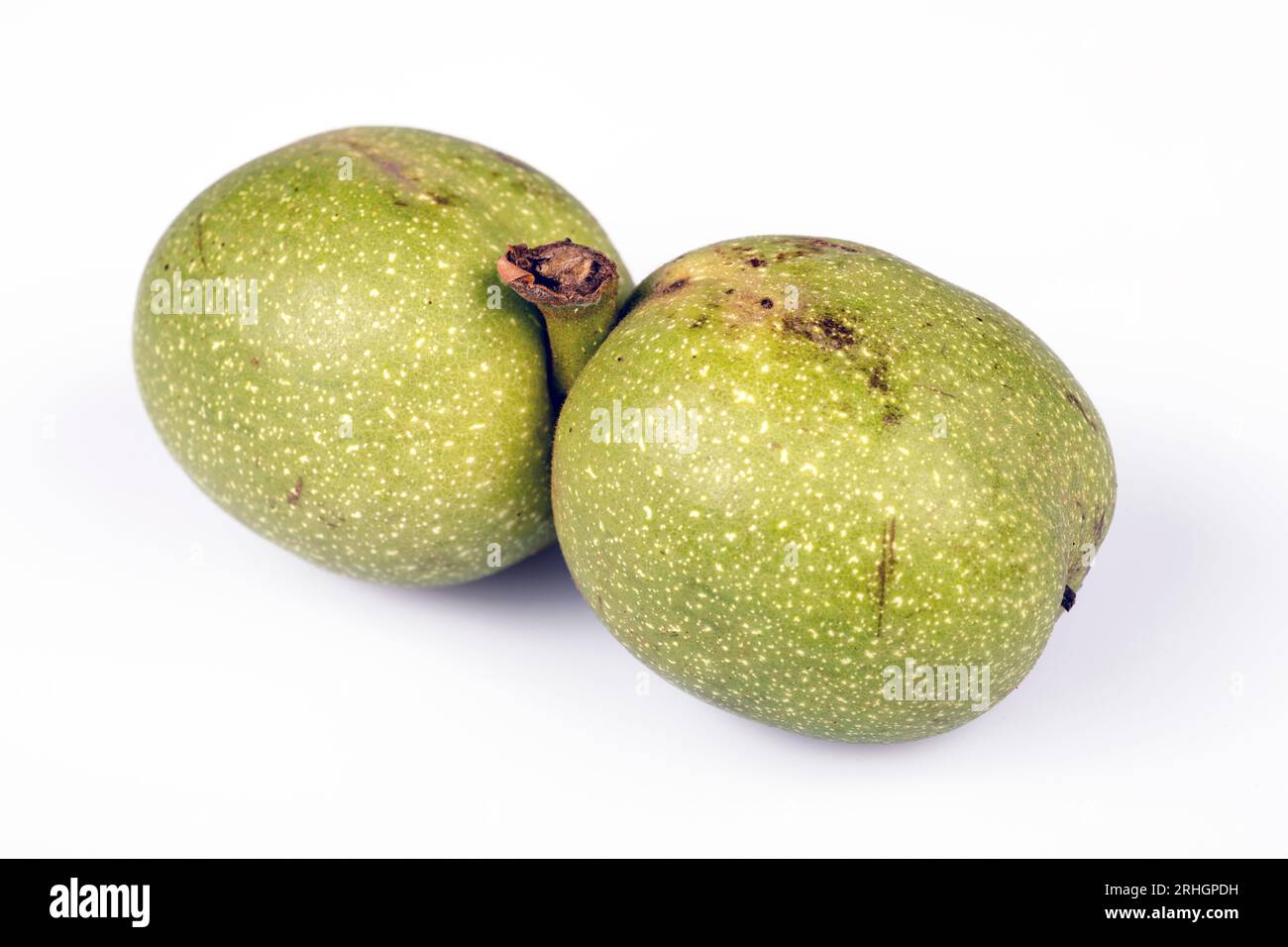 Fruits green walnuts on white background Stock Photo - Alamy