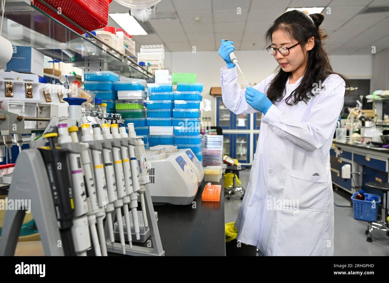 Tianjin, China. 13th Aug, 2023. Dr. Song Wan carries out an experiment ...