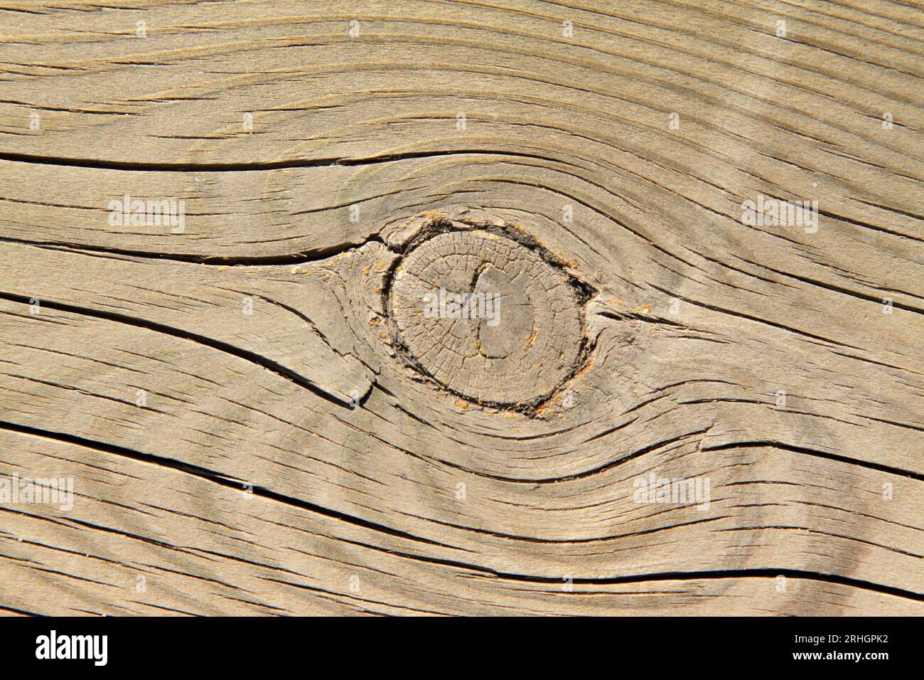 Details wood curve hi-res stock photography and images - Alamy