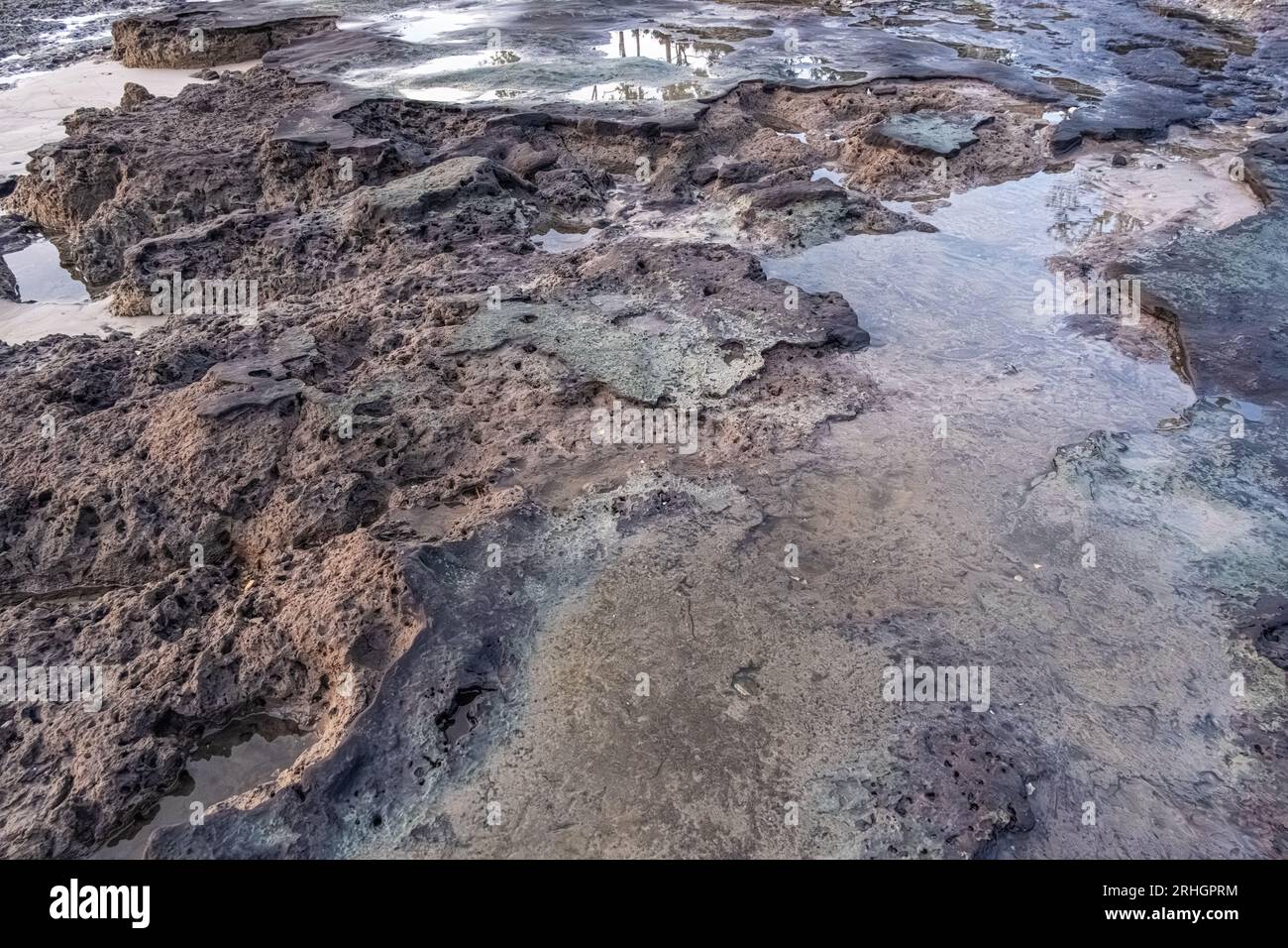 Tidal pools along Boneyard Beach at Big Talbot Island State Park in ...