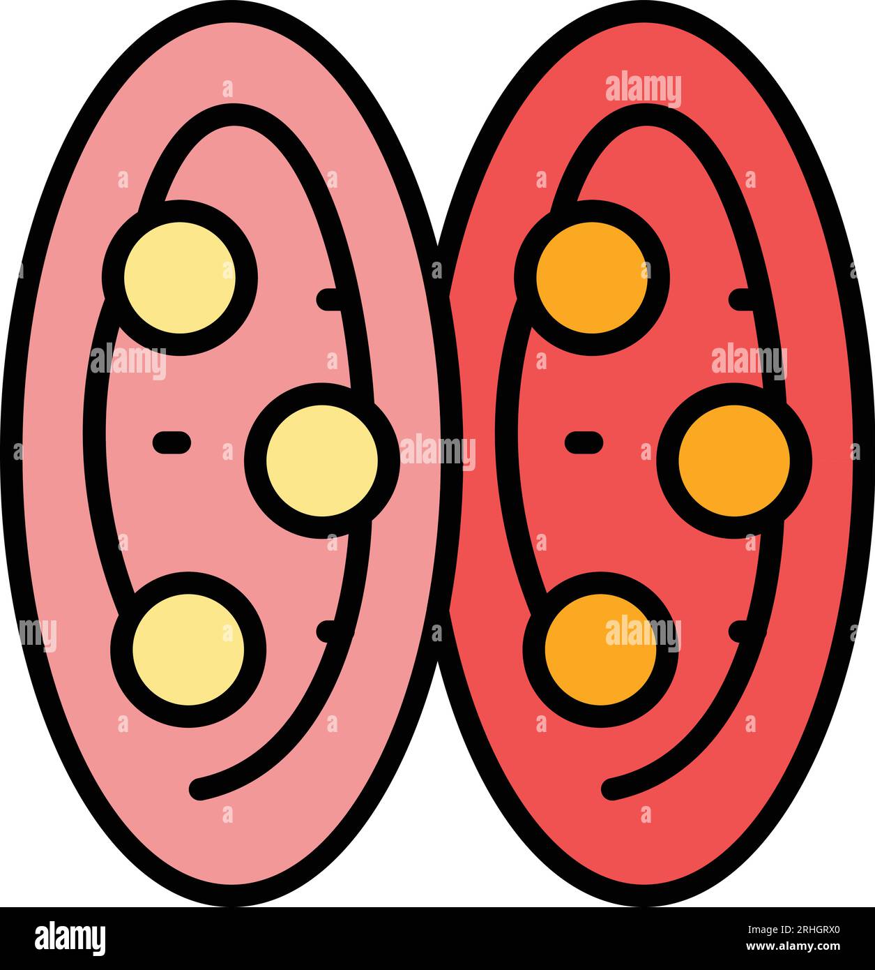 Top view bruschetta icon outline vector. Food starter. Finger italian ...