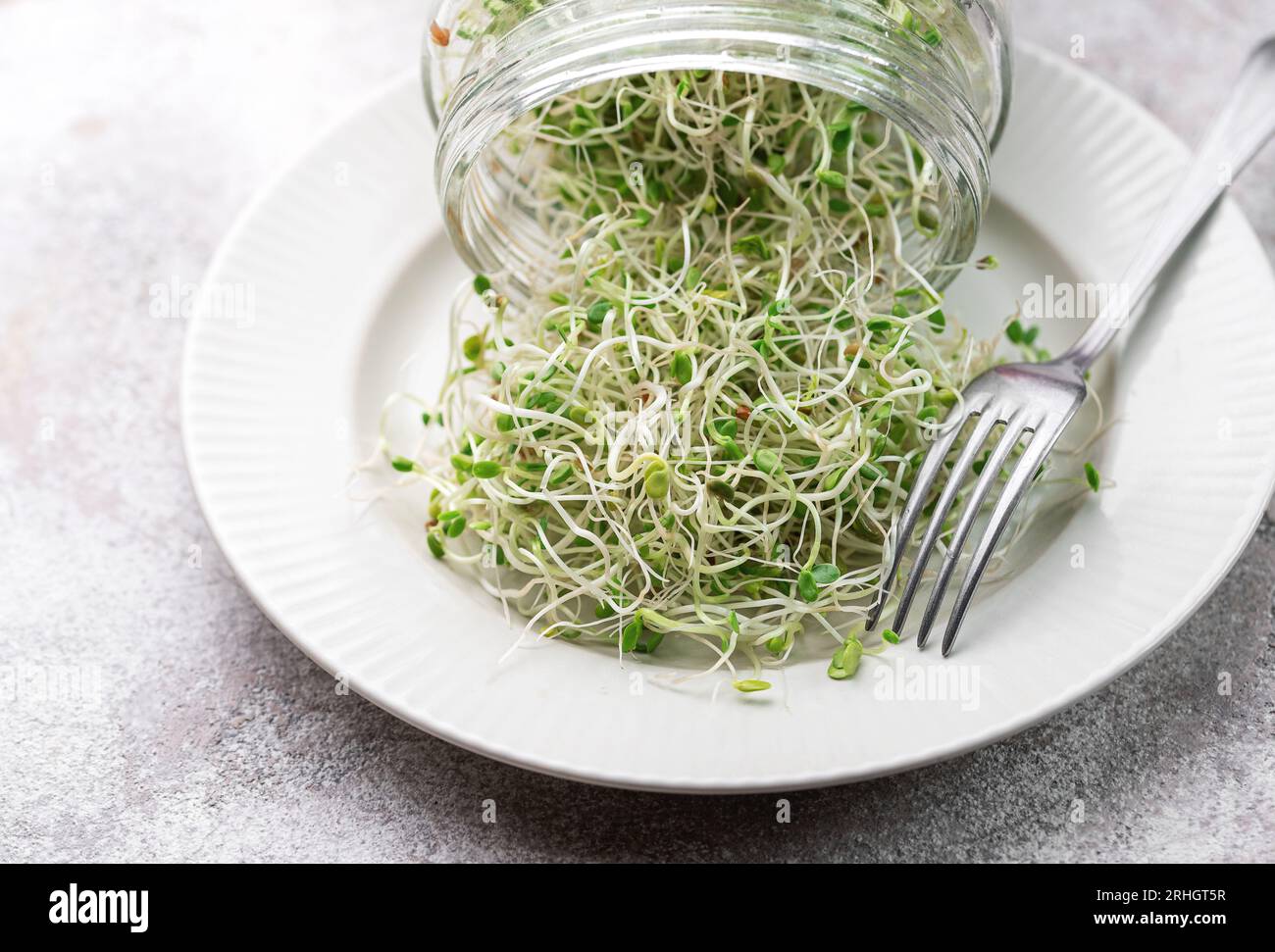 Microgreens grown in a jar. Healthy Eating Stock Photo - Alamy