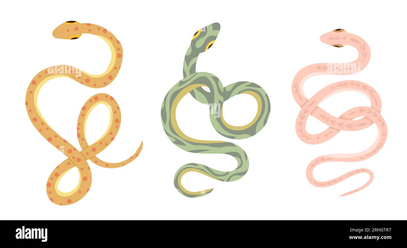 Vector set of cartoon snakes isolated from background. Clipart ...