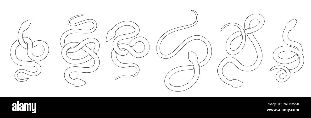 Vector set of black contour silhouettes of snakes in various poses ...