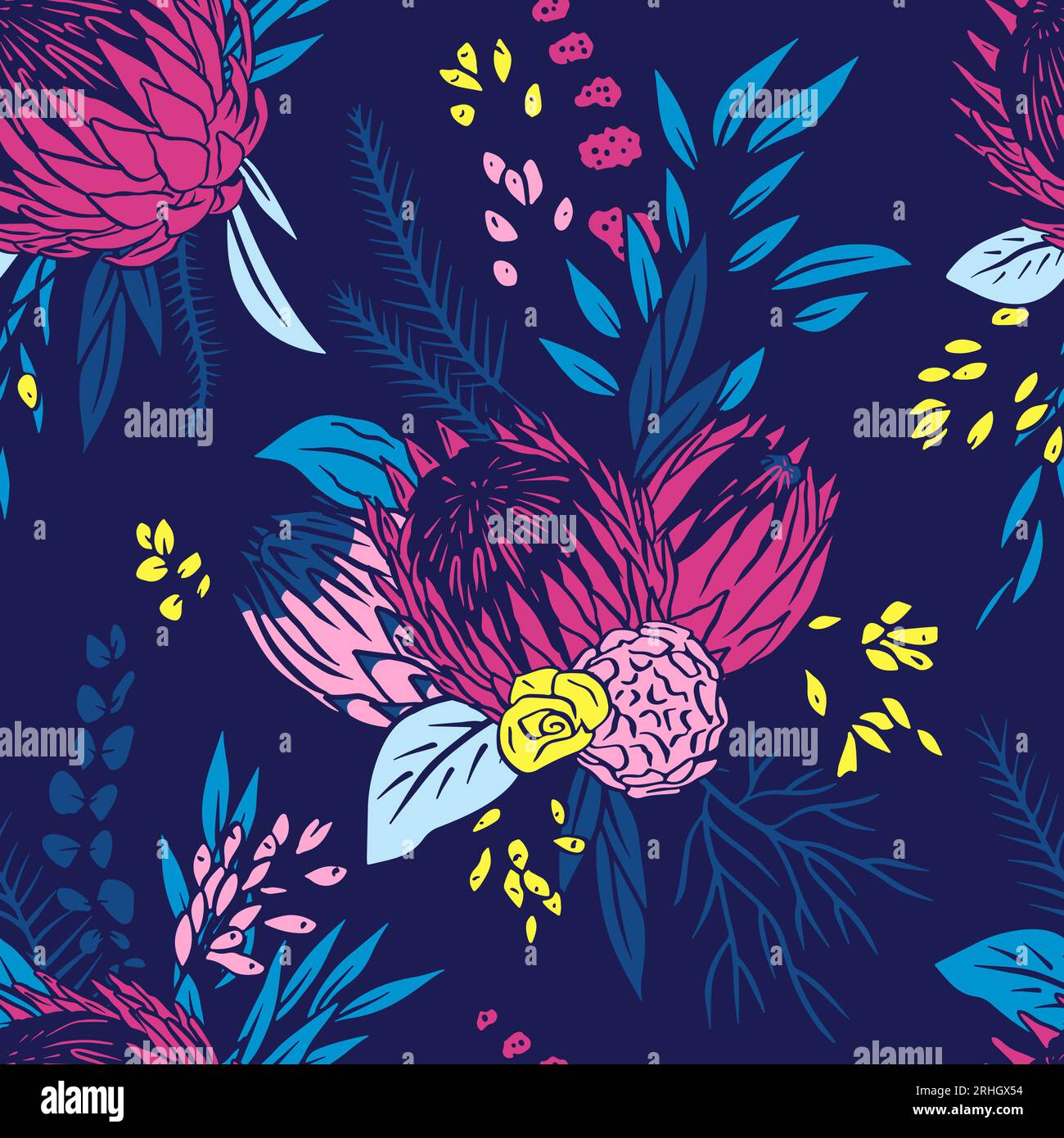 Protea flowers blue background Stock Vector Images - Alamy