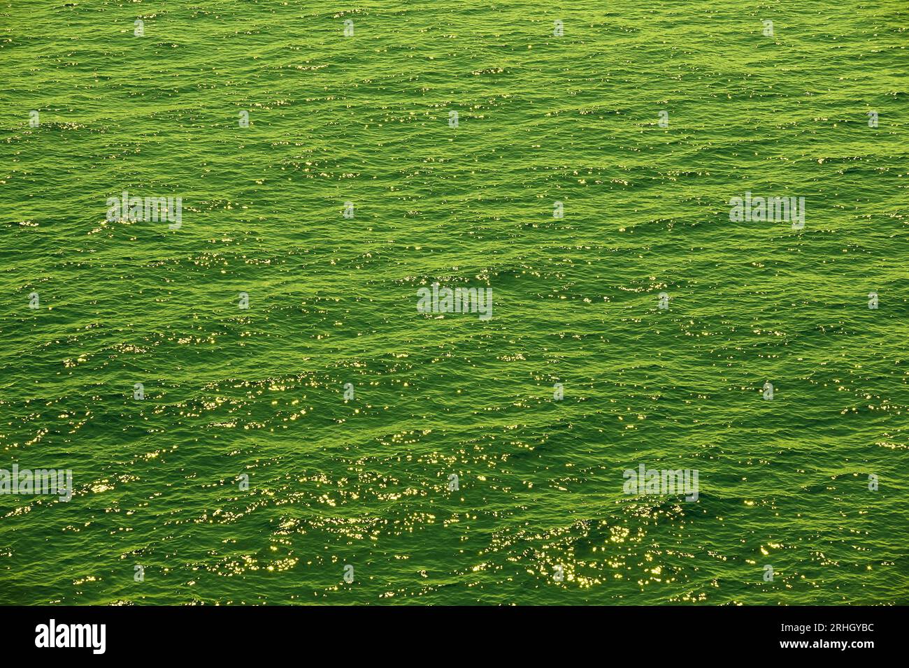 Marine green background hi-res stock photography and images - Alamy