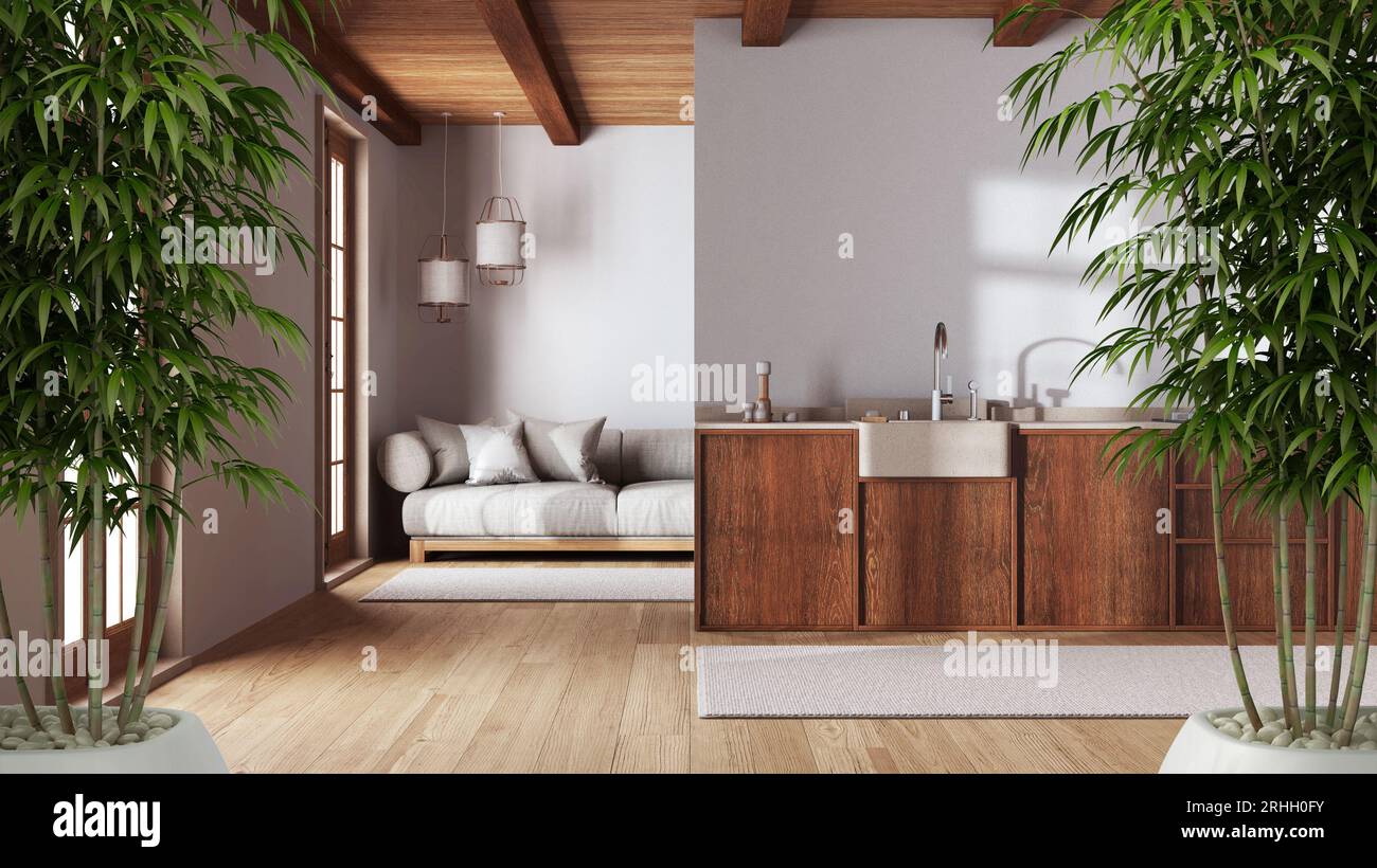 Zen interior with potted bamboo plant, natural interior design concept ...