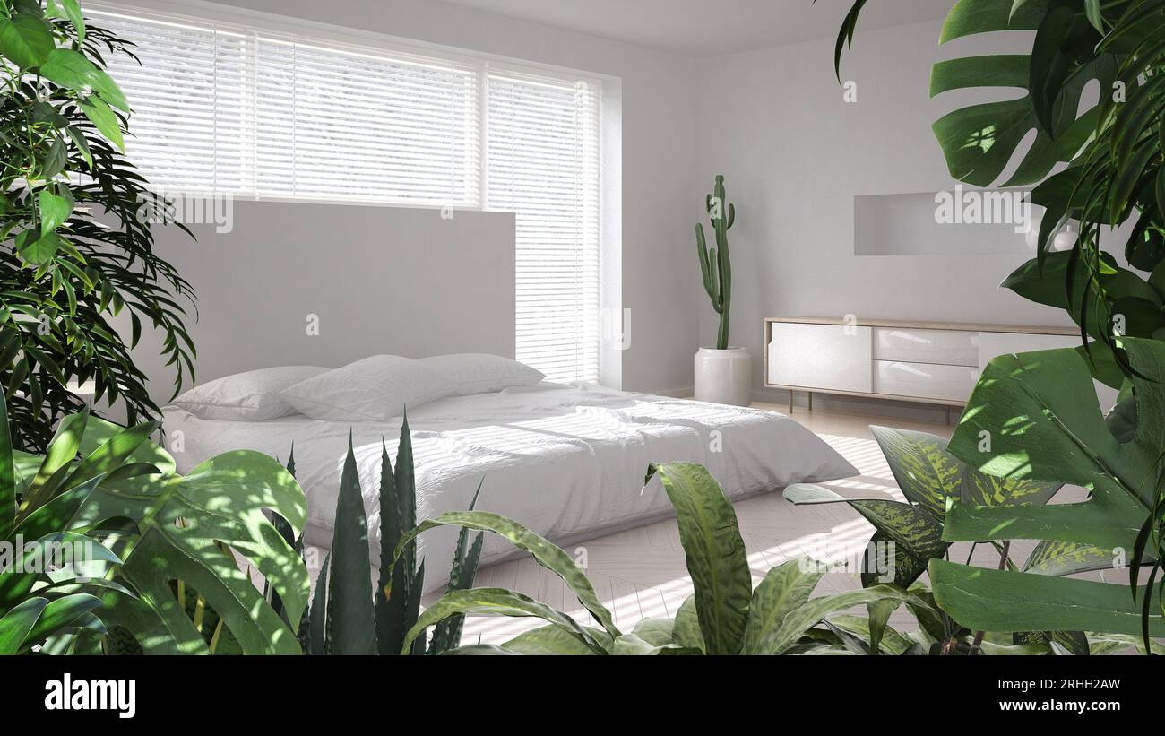 Jungle frame, biophilic idea. Tropical leaves over minimalist white ...