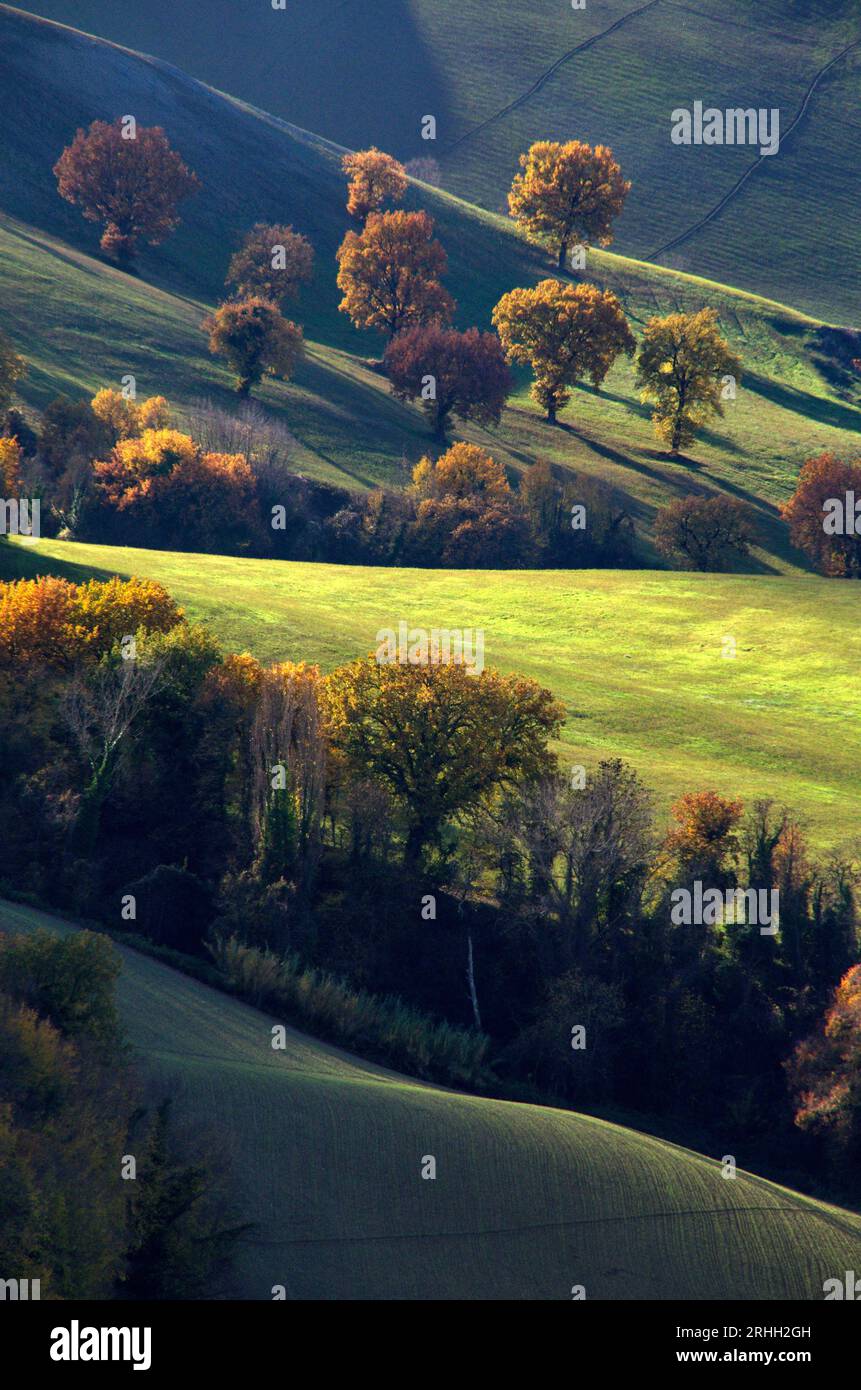 boschi e campi in autunno nel Montefeltro Stock Photo - Alamy