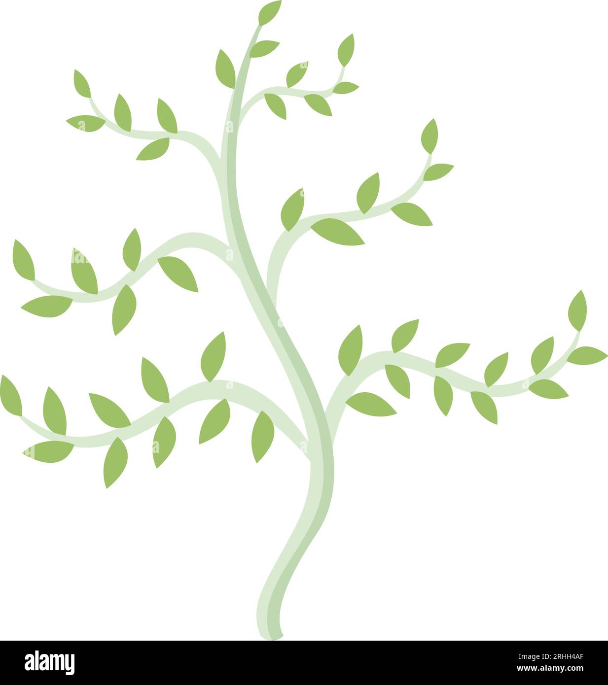 Minimalist flat summer tree with green little leaves on transparent ...