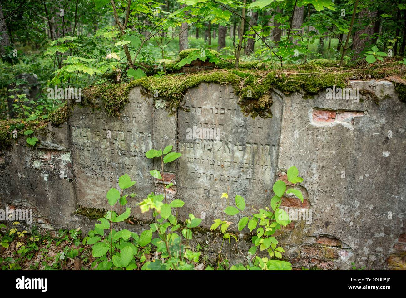 Der judische friedhof hi-res stock photography and images - Alamy Der judische friedhof hi-res stock photography and images - Alamy