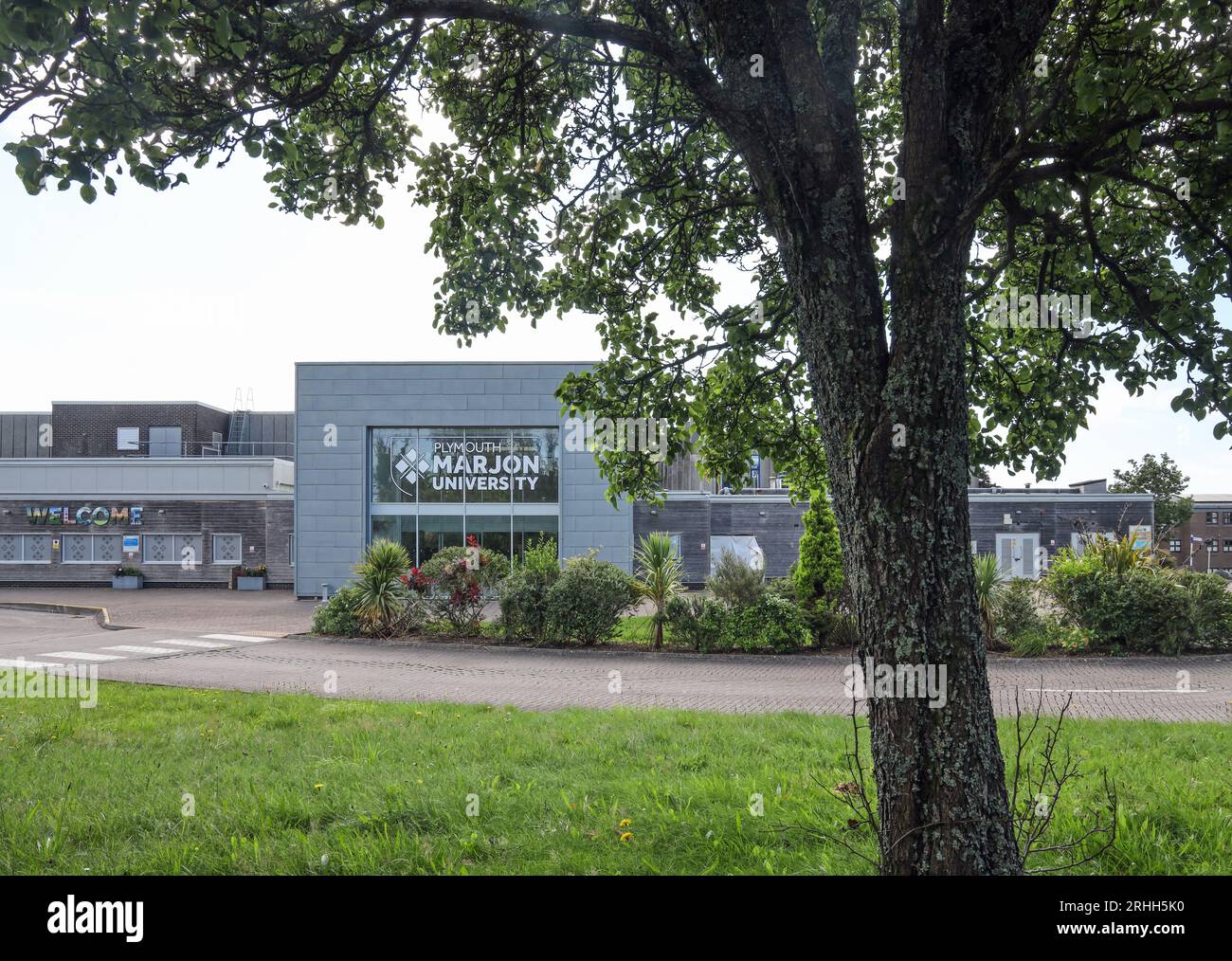 Entrance to Plymouth Marjon University, longshot framed by tree and ...