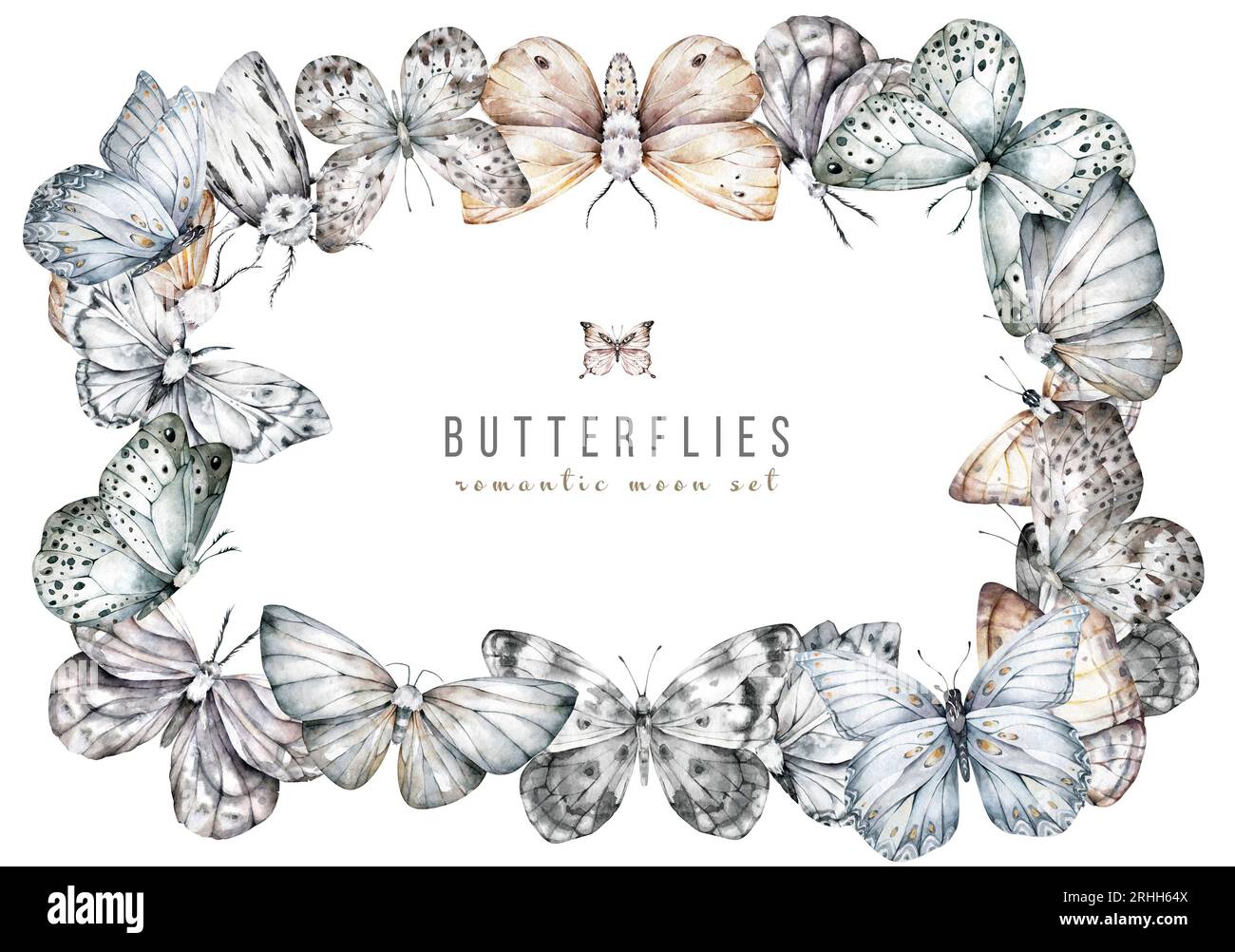 Black and white butterflies watercolor rectangular frame for text ...