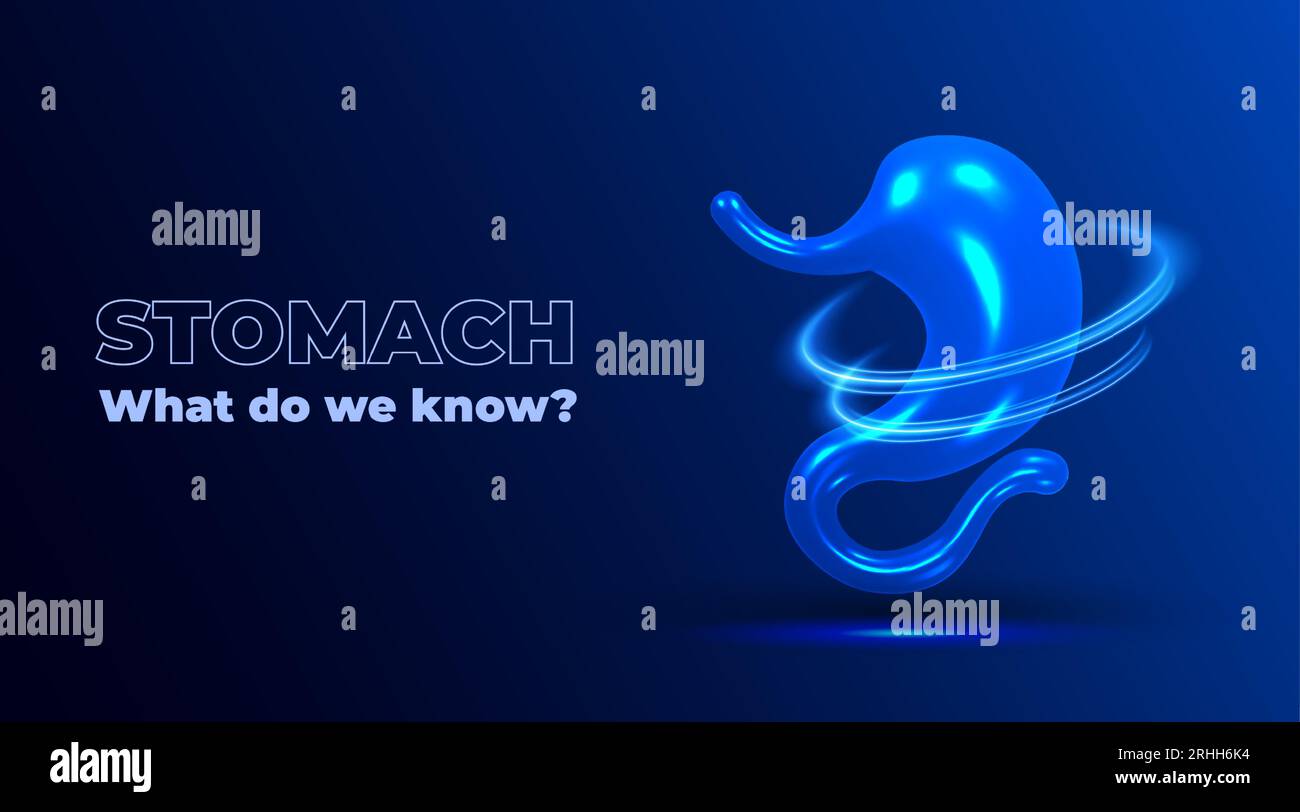 Stomach system. 3d human organ. Informative medical concept. Cover ...