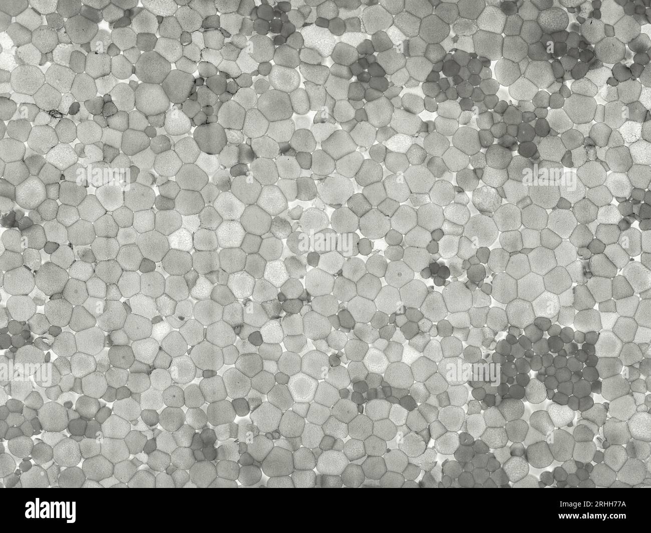 expanded polystyrene plastic texture useful as a background Stock Photo ...