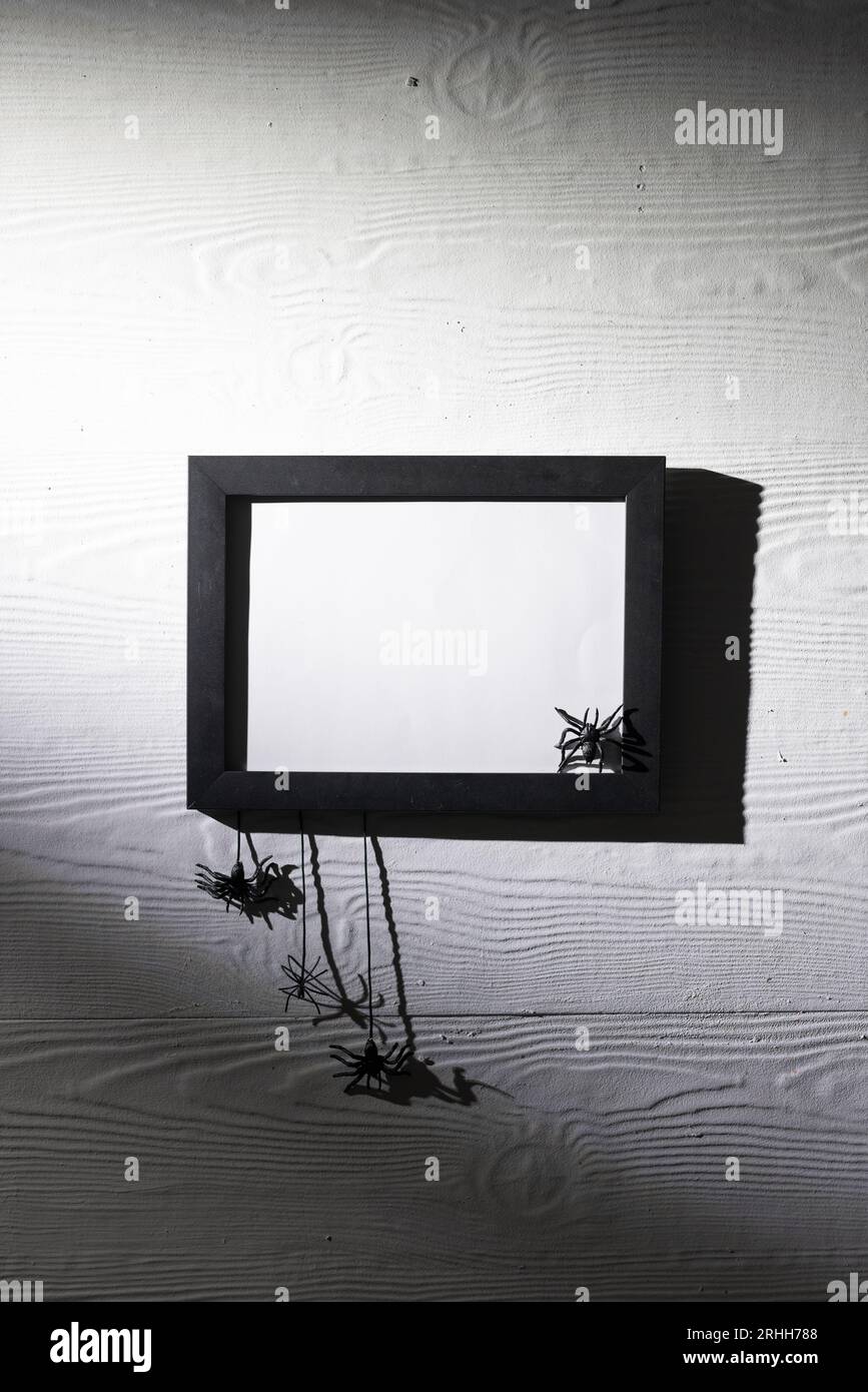 Black frame, spiders with copy space on white background Stock Photo ...