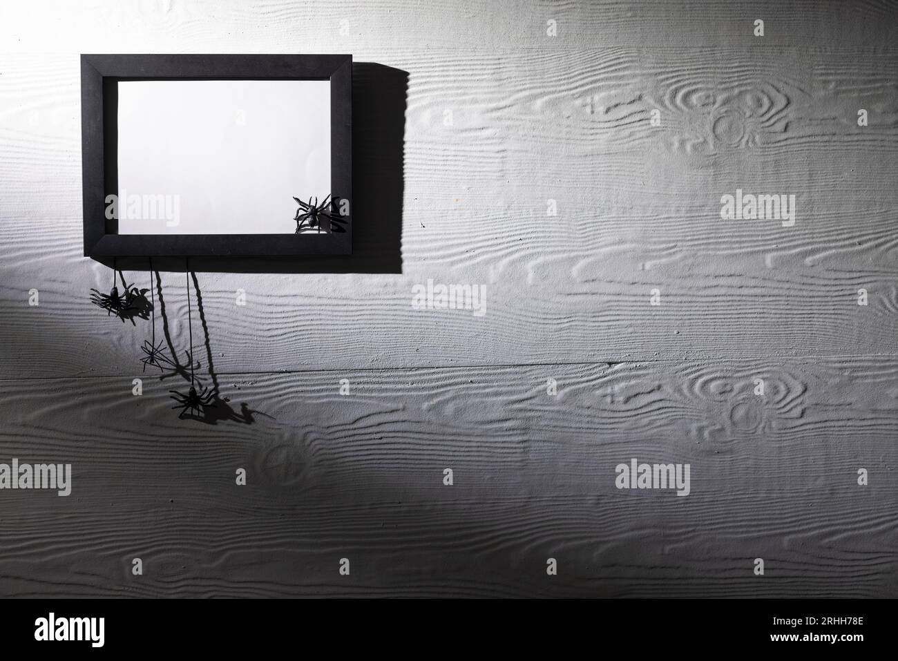 Black frame, spiders with copy space on white background Stock Photo ...