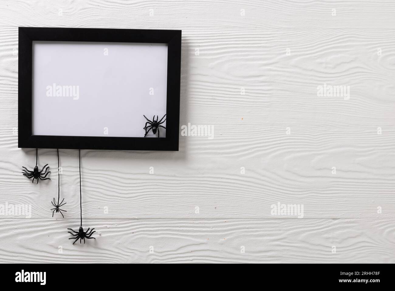 Black frame, spiders with copy space on white background Stock Photo ...