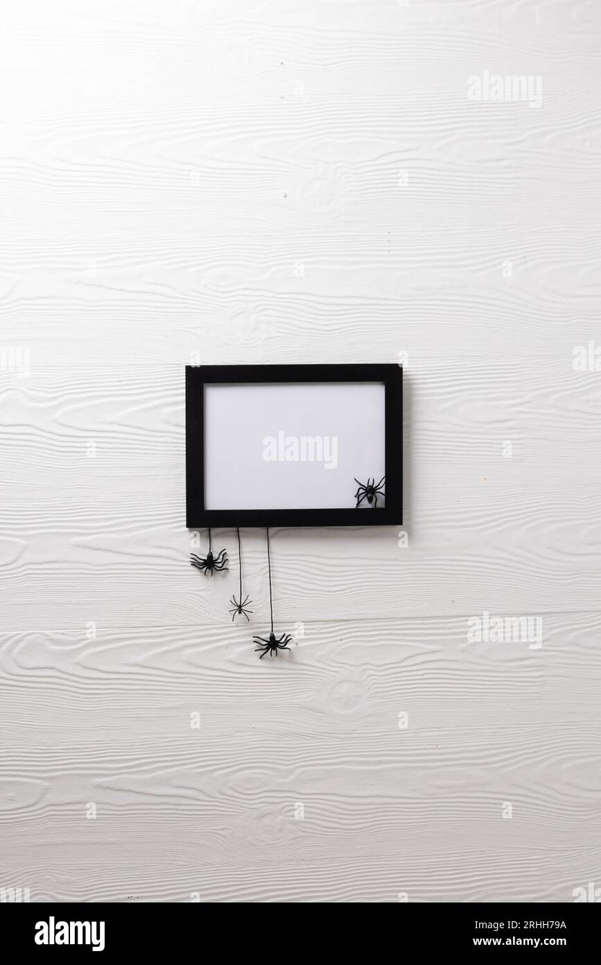 Black frame, spiders with copy space on white background Stock Photo ...