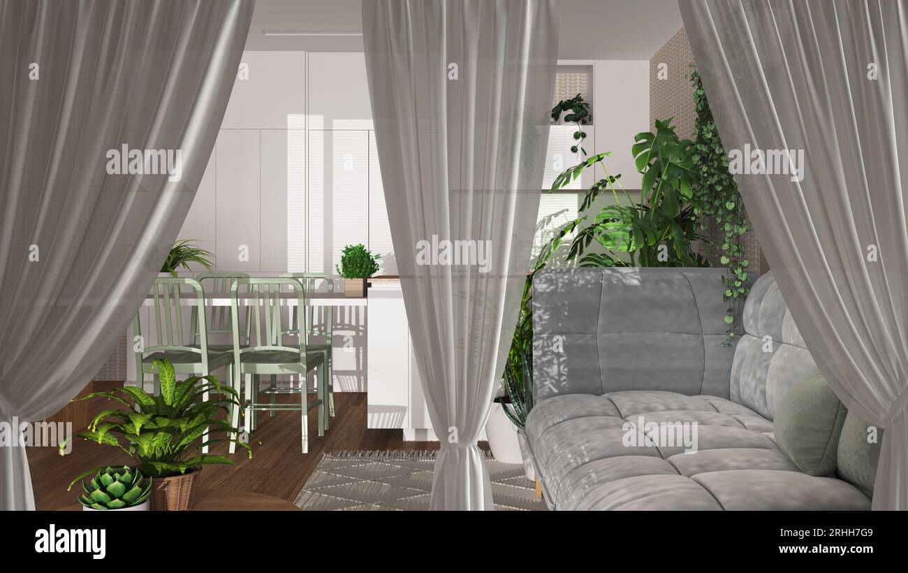 White openings curtains overlay living room and kitchen, interior ...