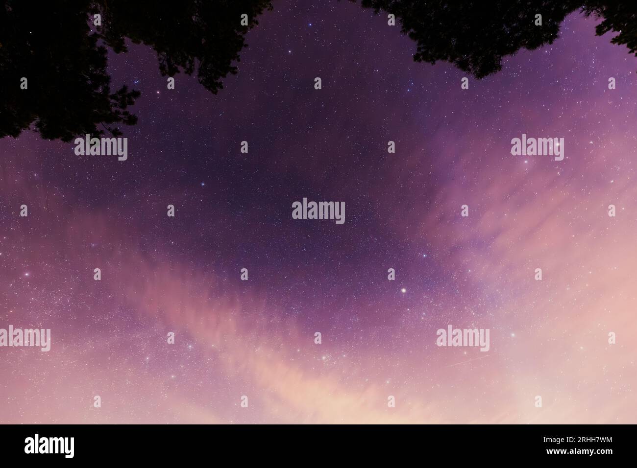Lavender Colors Of Starry Sky. Amazing Bold Night Stars In Violet Night ...