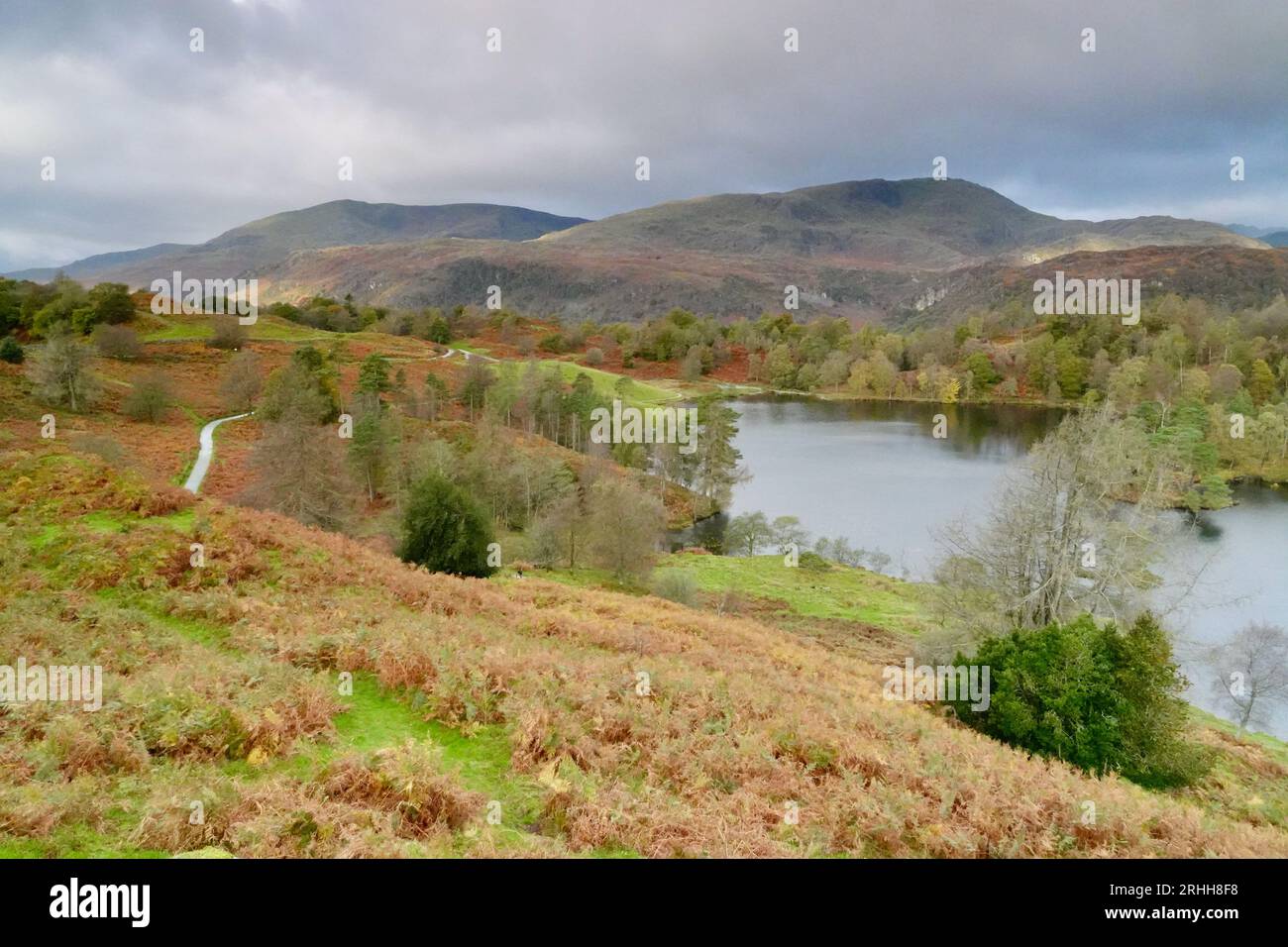 Tarn Hows, Lake District Stock Photo - Alamy