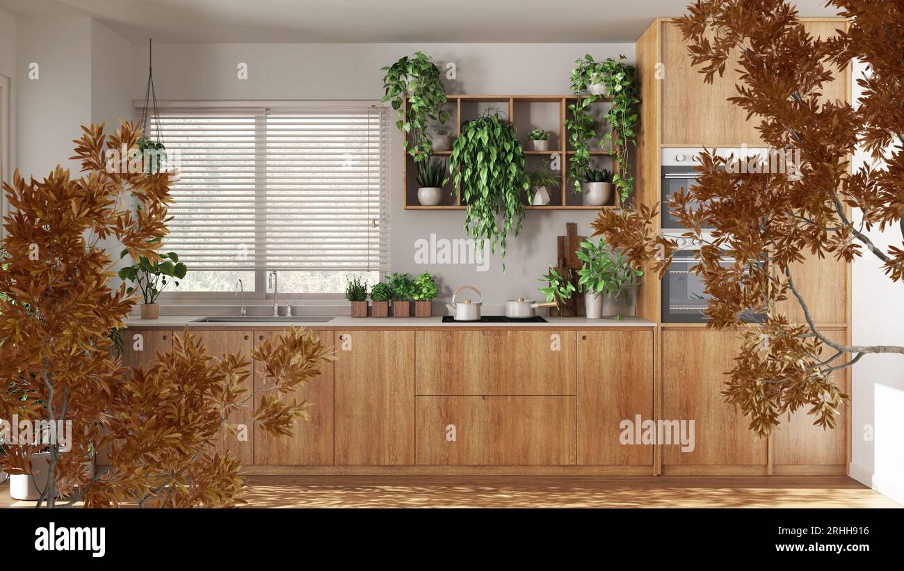 Orange yellow and red fall leaves, tree branch over interior design ...