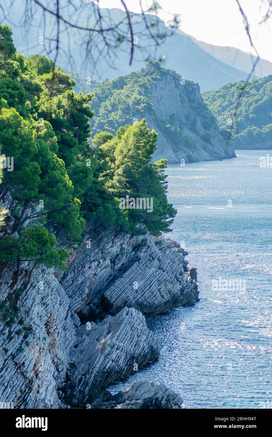 Sunlit cliffs, covered with branches of evergreen trees, in Petrovac na ...