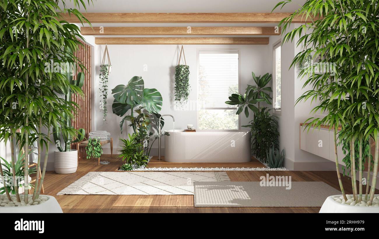 Bamboo Stalk Interior Zen Interior Potted Image & Photo (Free Trial)