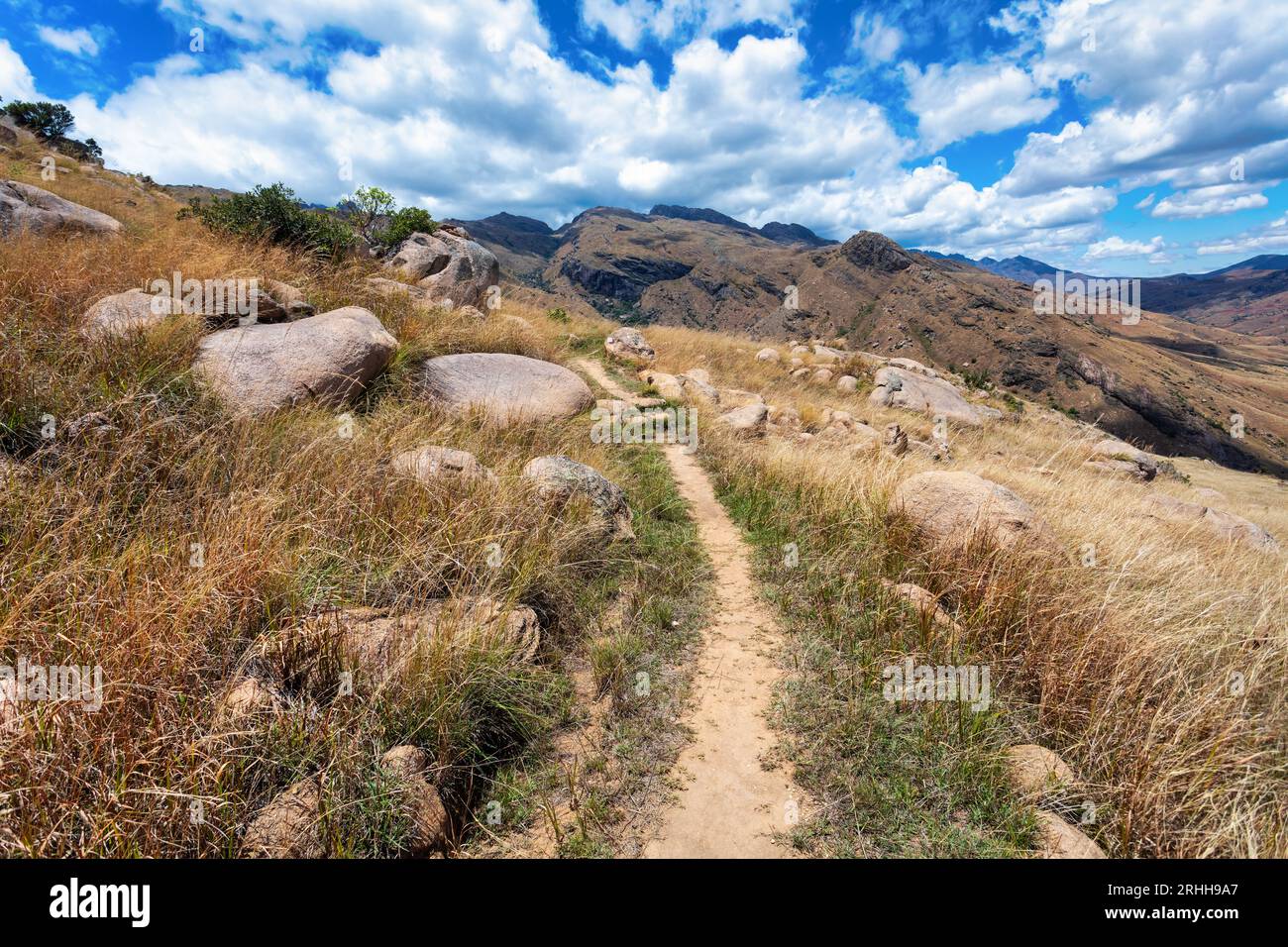 Andringitra national park, Haute Matsiatra region, Madagascar ...