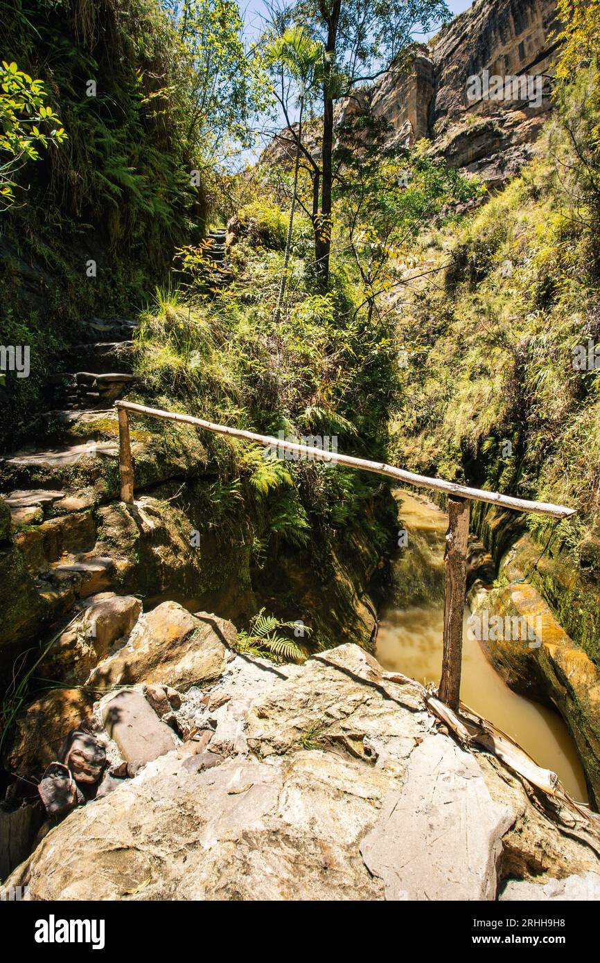 Rain forest stone stairs, pure unattached nature, Isalo national park ...