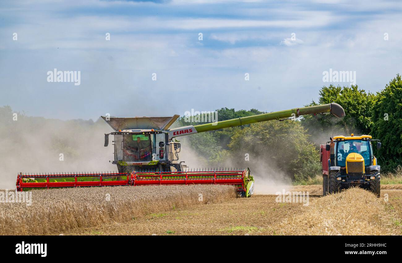 Agricultural gathering hi-res stock photography and images - Alamy