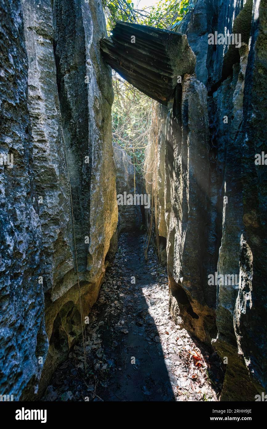 Narrow path between rocks in Petit Tsingy de Bemaraha, Strict Nature ...