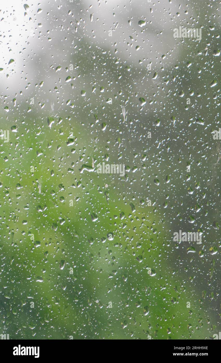 Raindrops on a window pane Stock Photo - Alamy