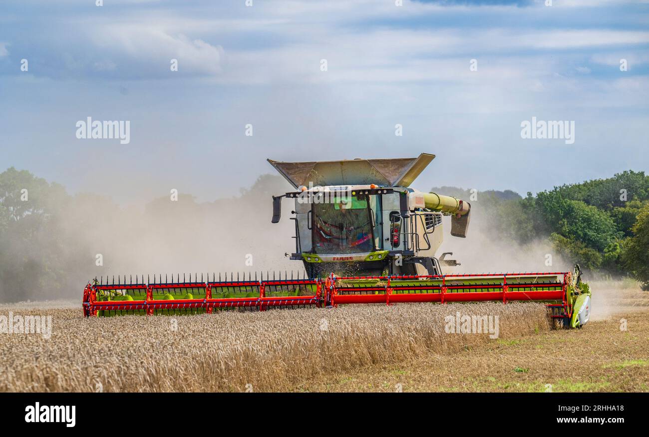 A Claas combine harvester working to harvest the corn on a summer’s day ...