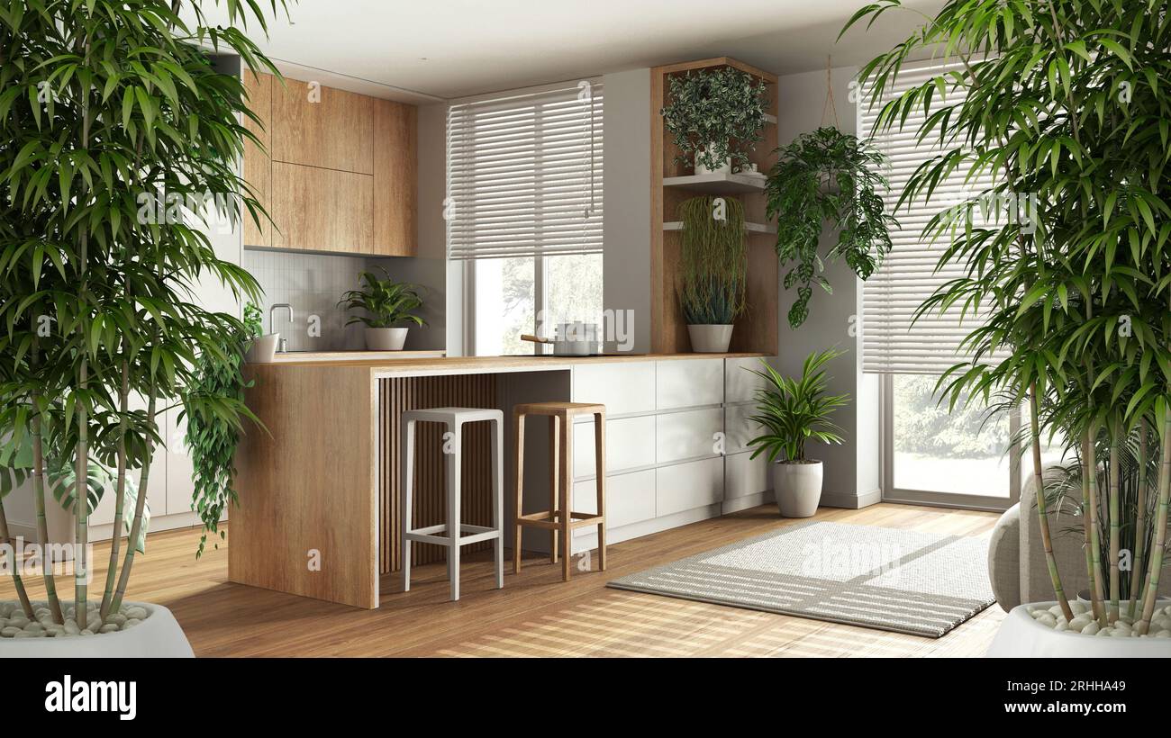 Zen interior with potted bamboo plant, natural interior design concept ...