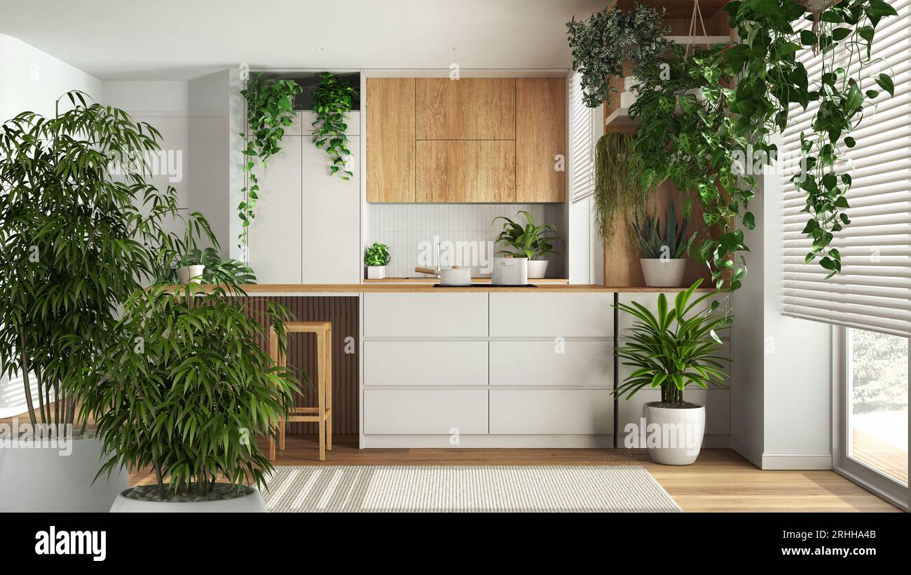 Zen interior with potted bamboo plant, natural interior design concept ...