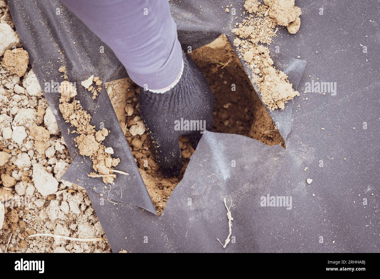 A person picks out excess soil from a hole, the soil is covered with ...