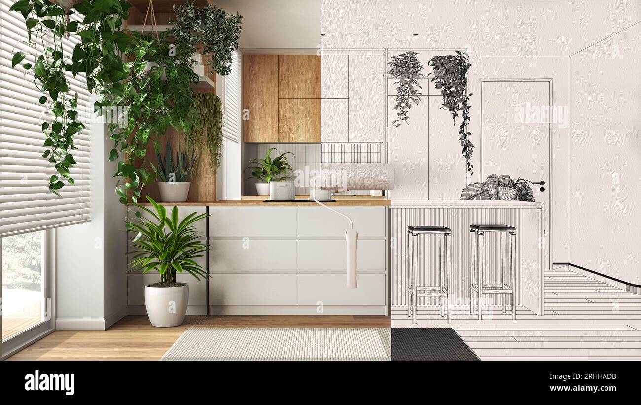 Real Kitchen Background