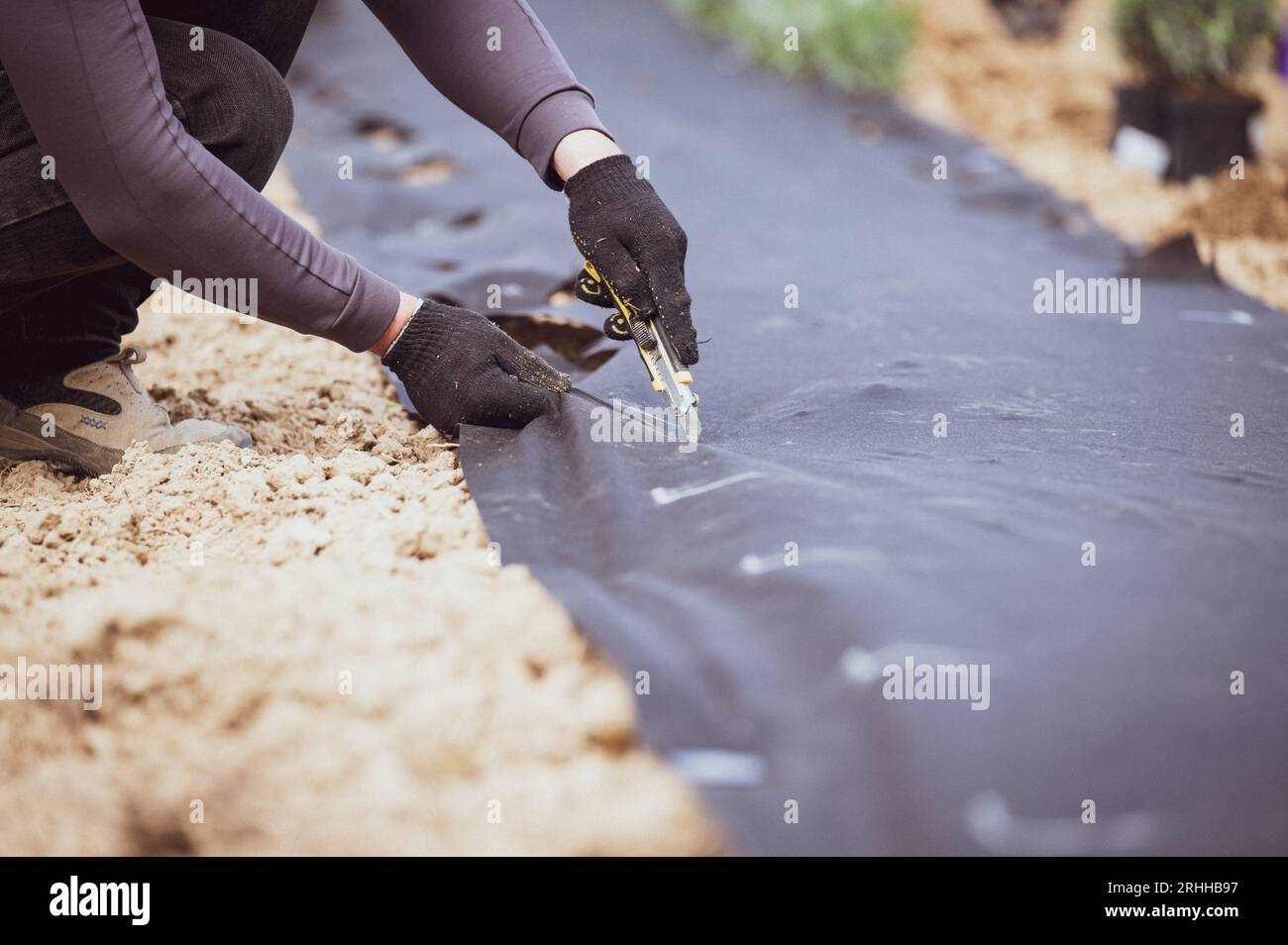 Plastic knife as plant label hi-res stock photography and images - Alamy