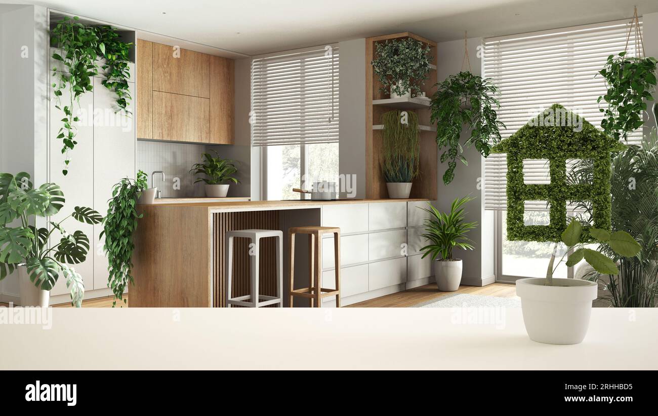 White table top or shelf with green plant in pot shaped like house ...